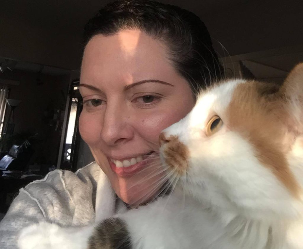 My Sweet, Spunky, Tortoiseshell With White Cat - Thriving Cat